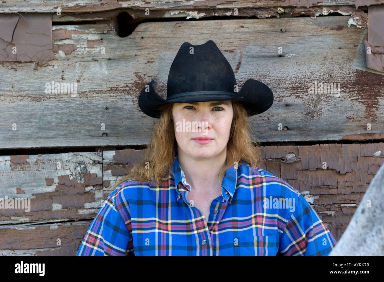 A cowgirl relaxes with her horse on a ranch in colorado Stock Photo - Alamy