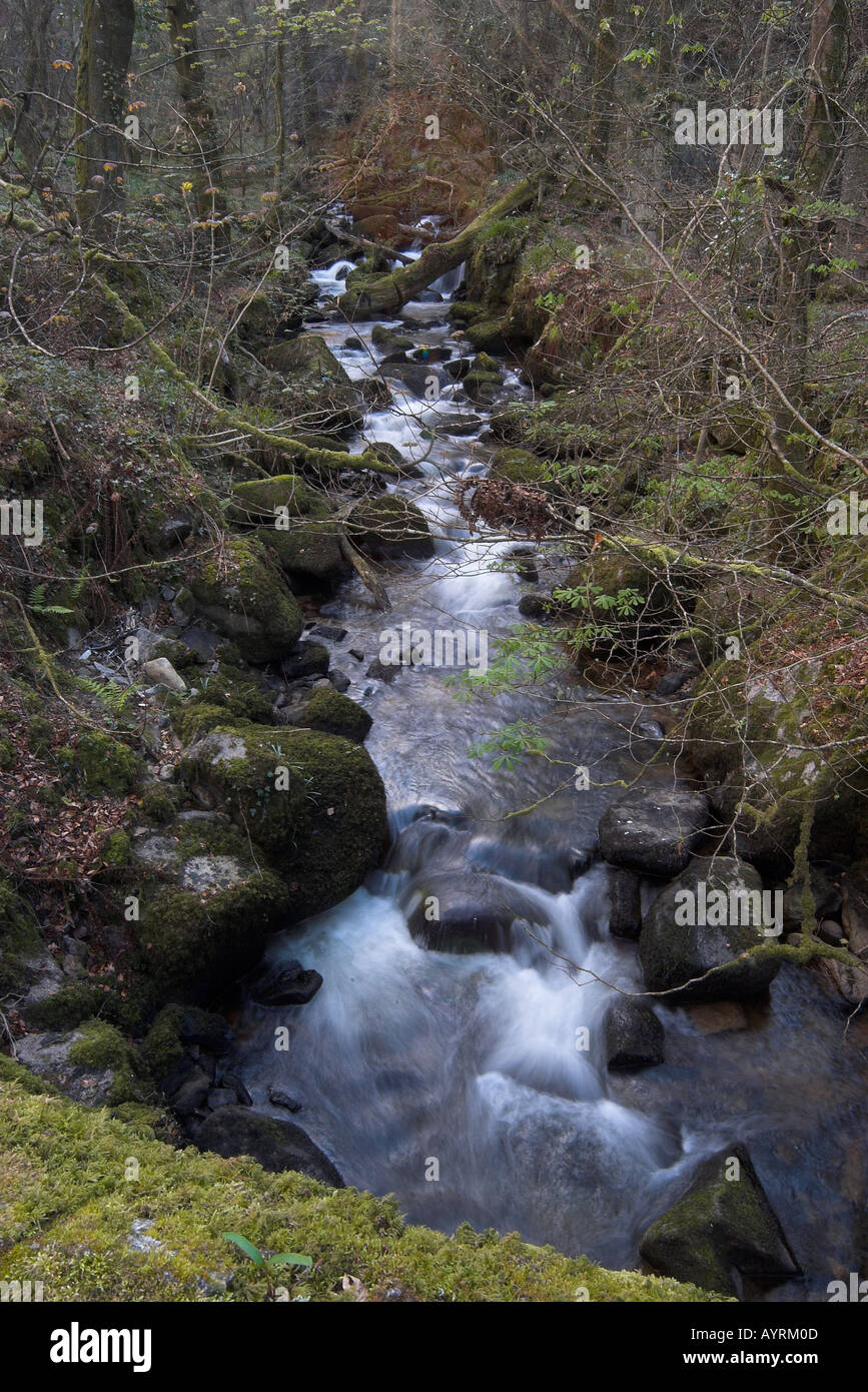 Wood flow hi-res stock photography and images - Alamy