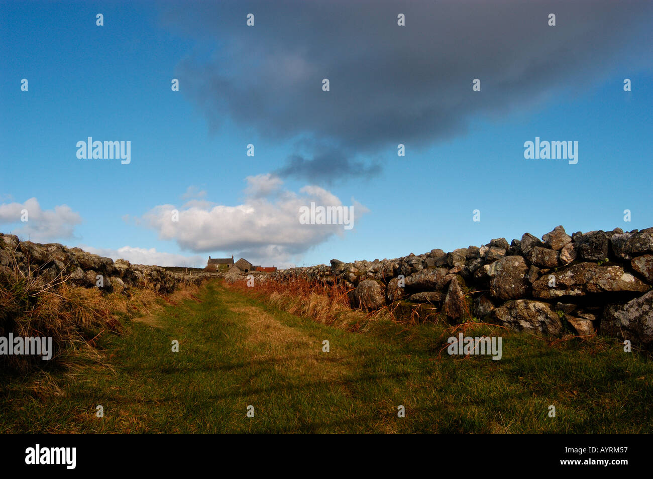 Track and cornish farm hi-res stock photography and images - Alamy