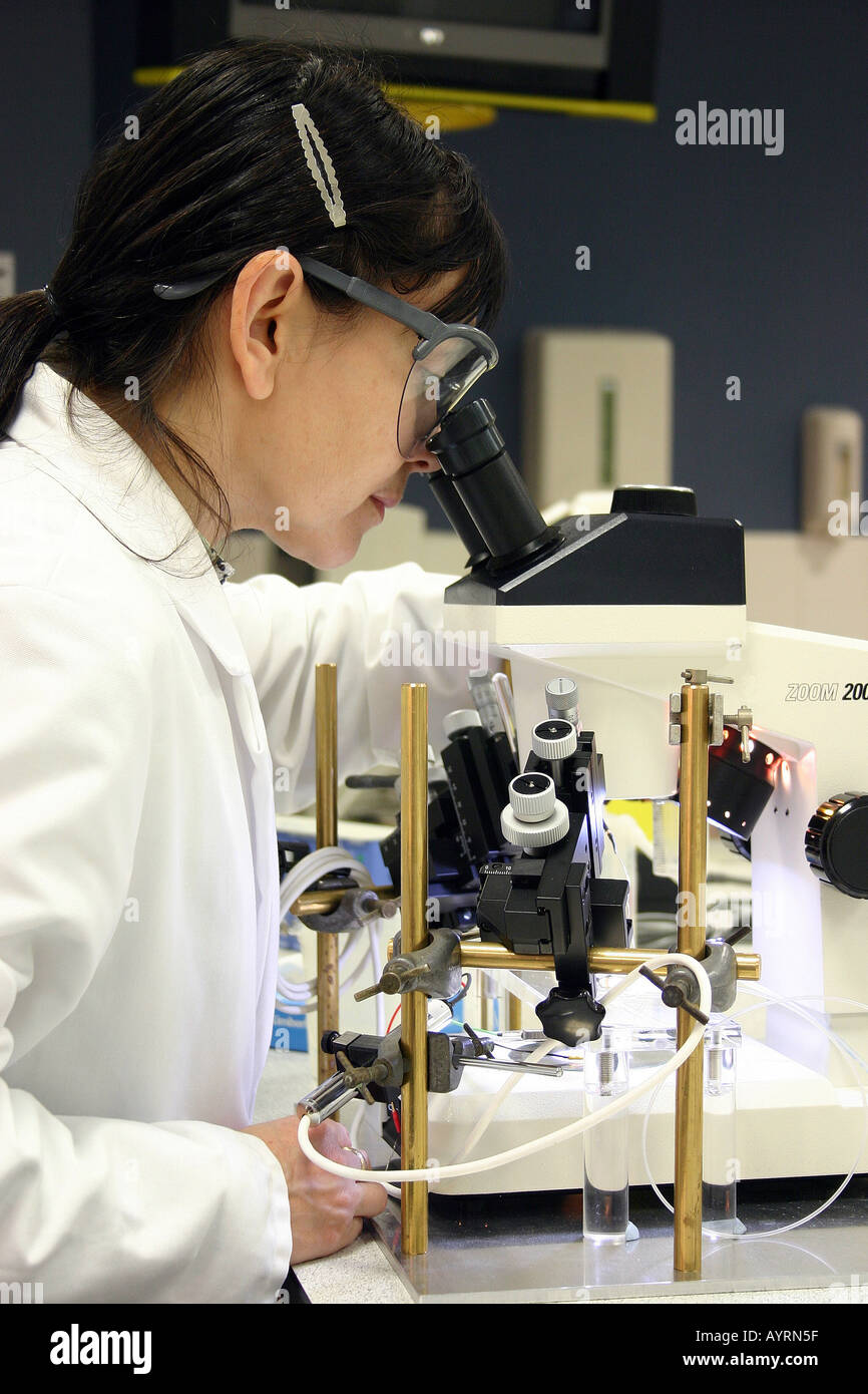 Female scientist look microscope hi-res stock photography and images ...