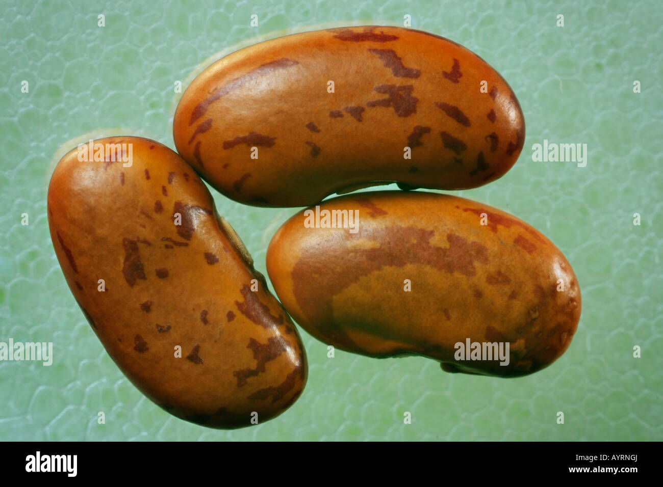 Bohnen pulse hi-res stock photography and images - Alamy