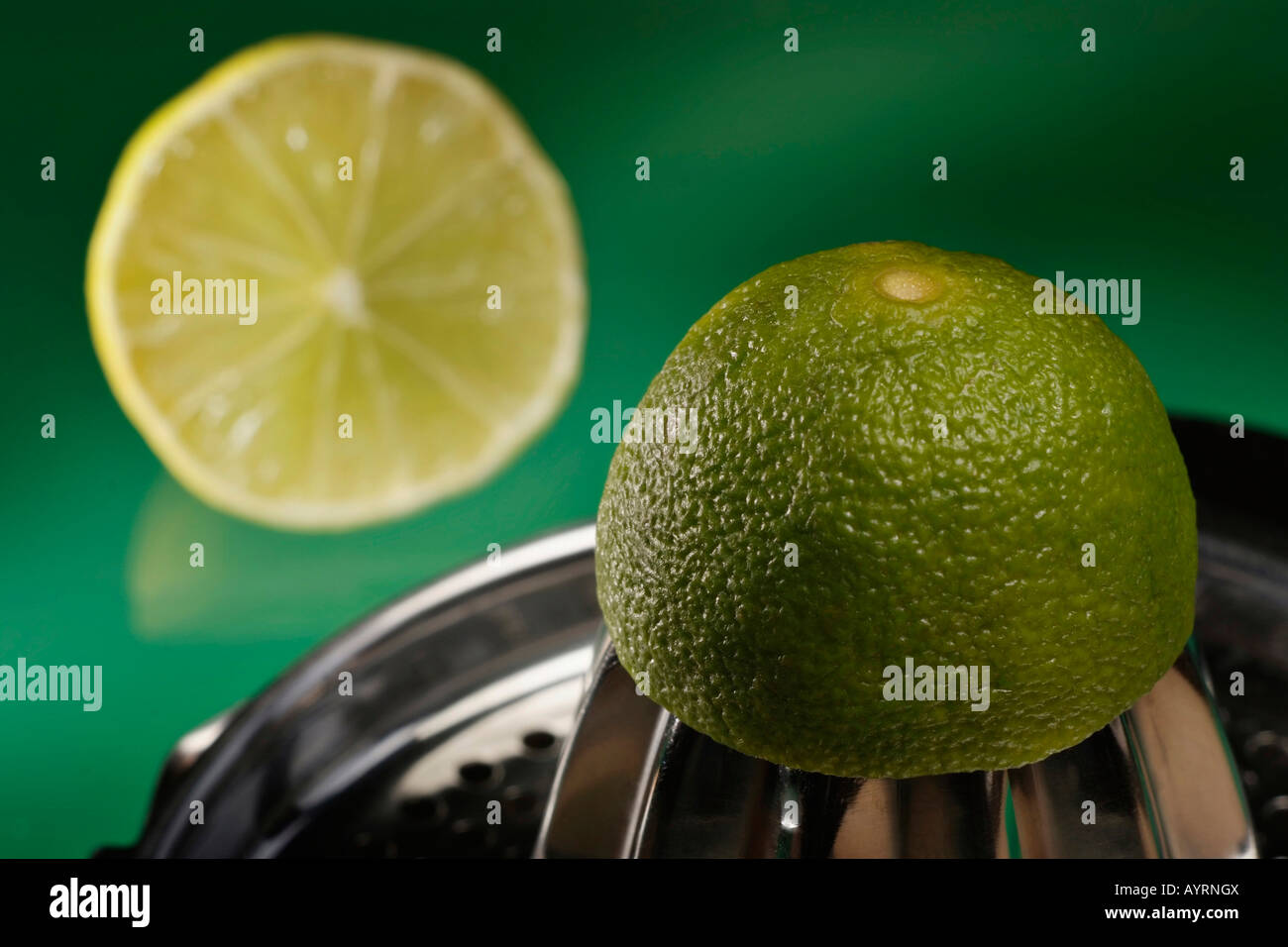 Squeezing a lime (Citrus × latifolia Stock Photo - Alamy