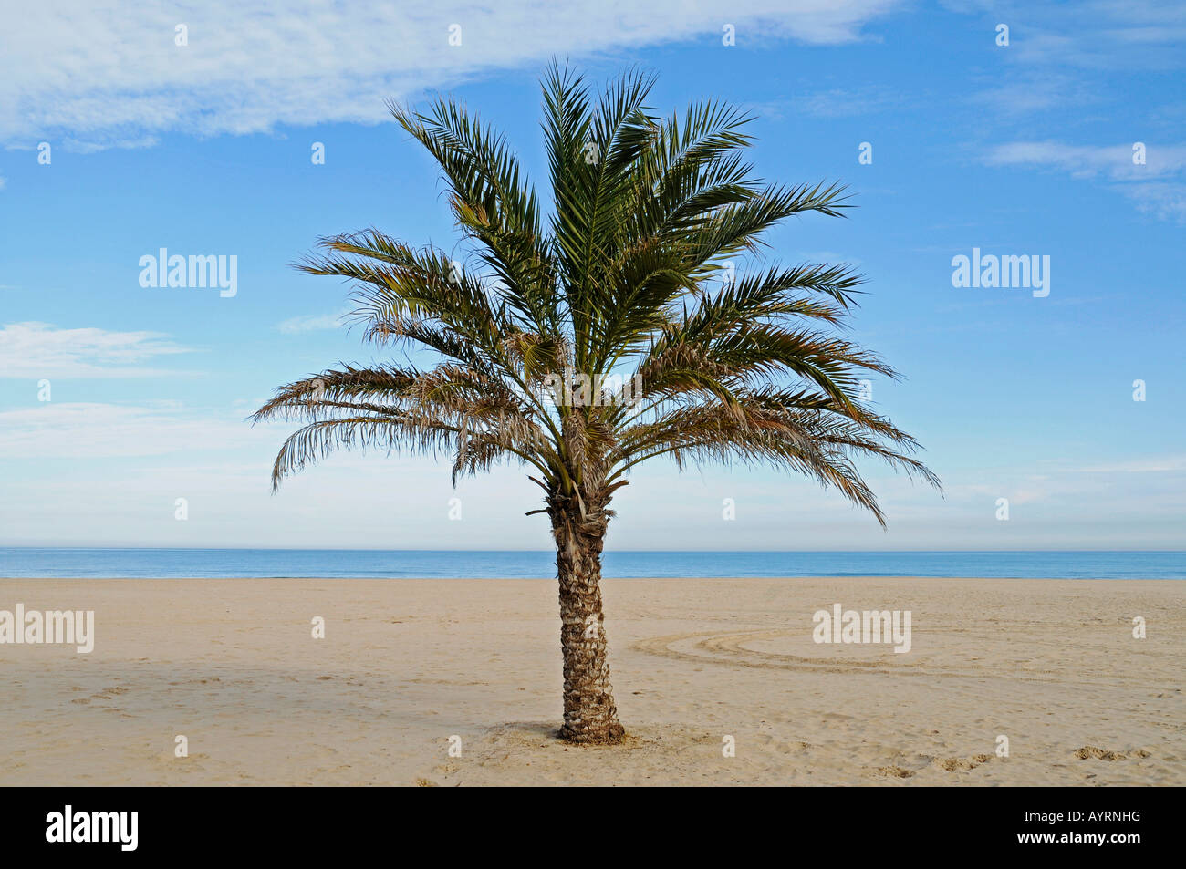 Valencia beach hi-res stock photography and images - Alamy