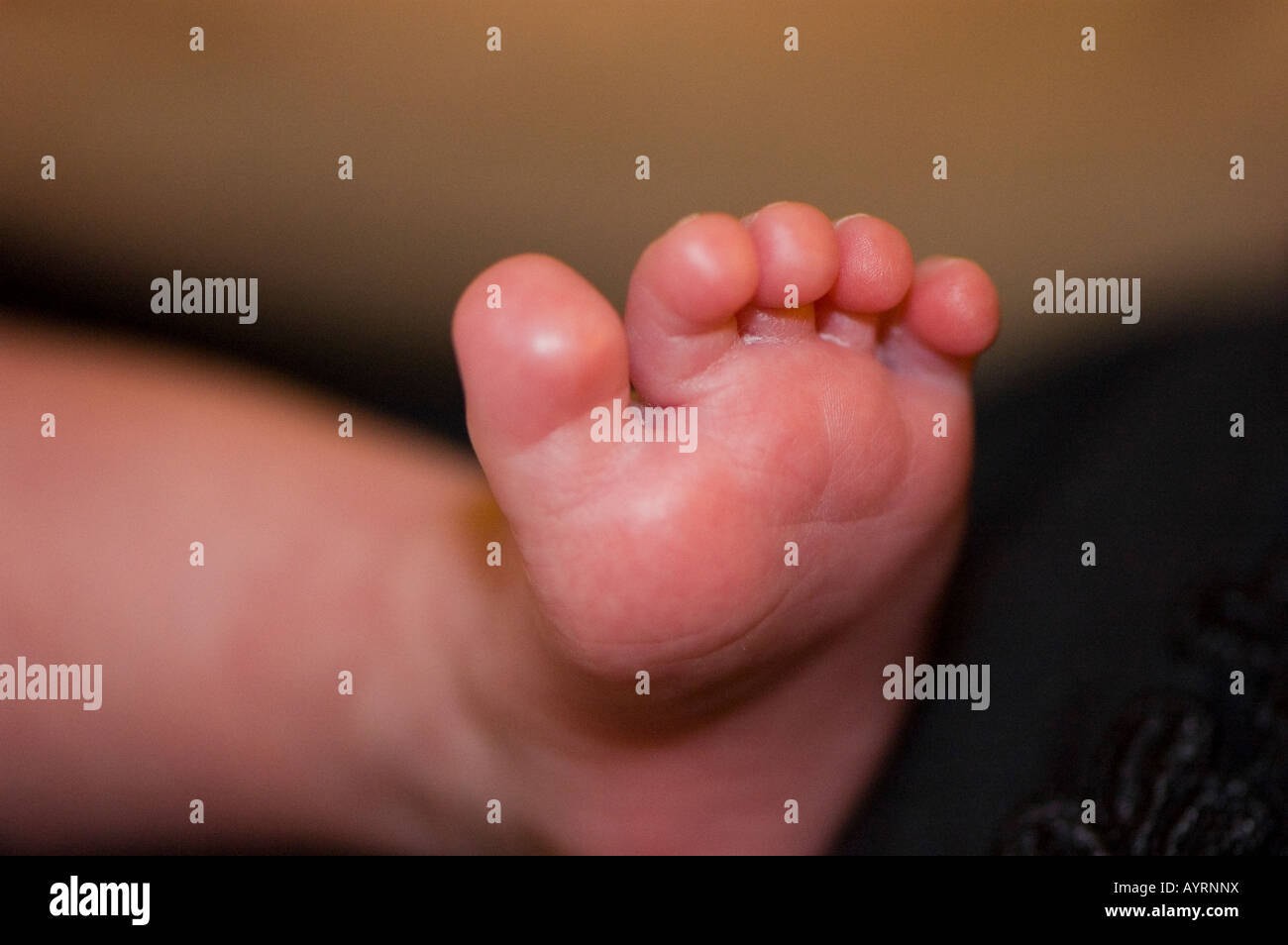babies hand, foot Stock Photo - Alamy