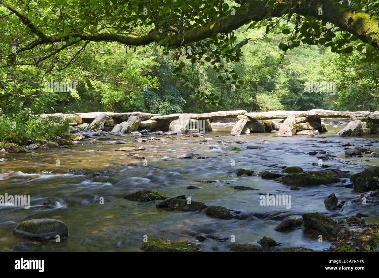 The prehistoric clapper bridge across the River Barle at Tarr Steps ...