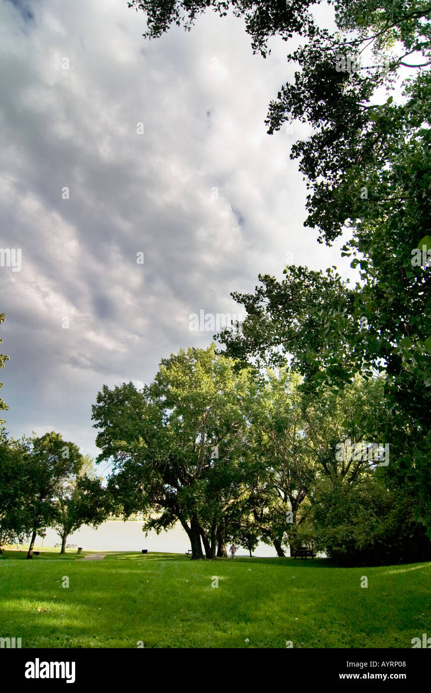 Saskatchewan landing provincial park hi-res stock photography and ...