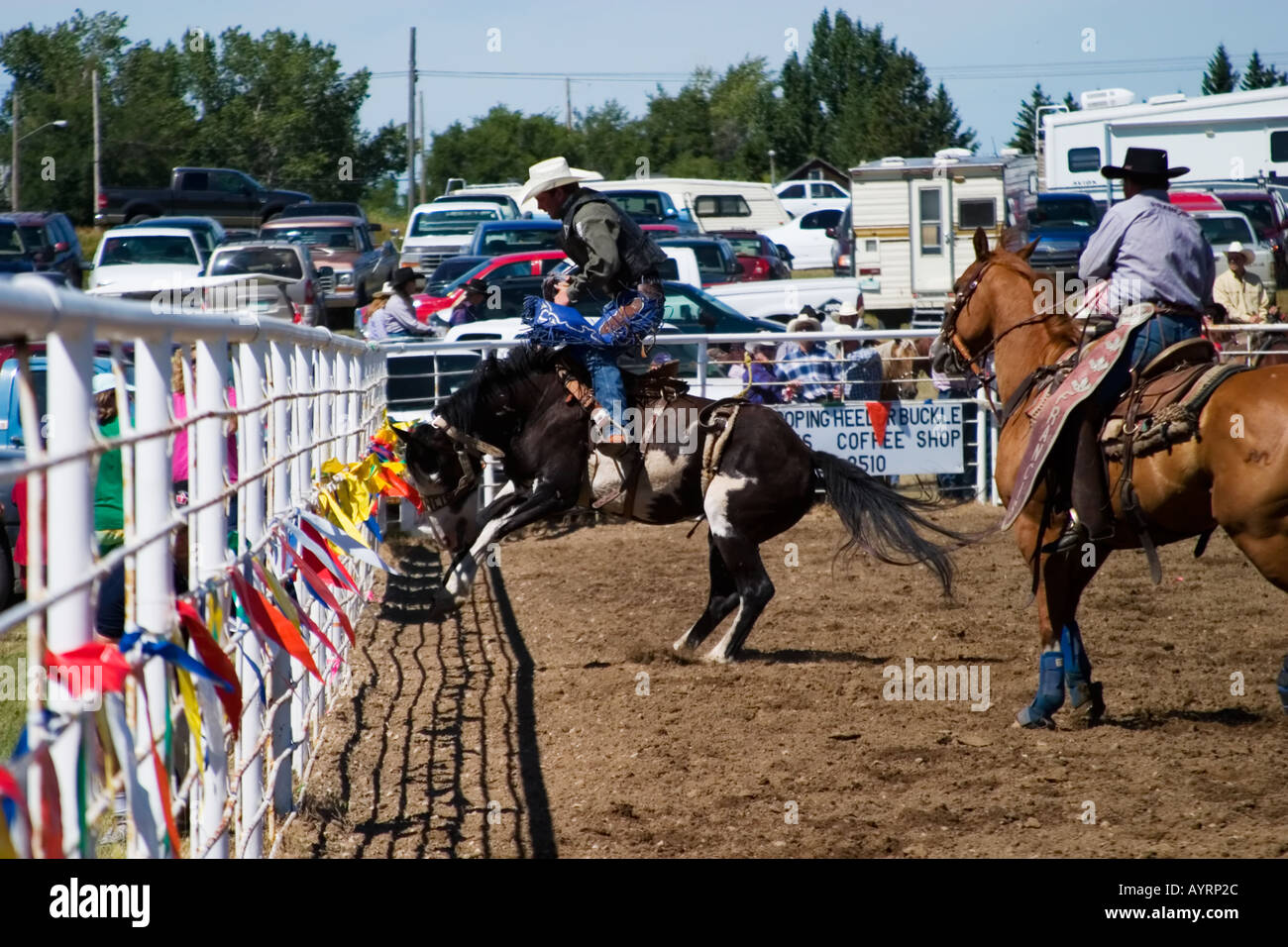 Saddle Bronc riding at the Herbert Rodeo Stock Photo - Alamy