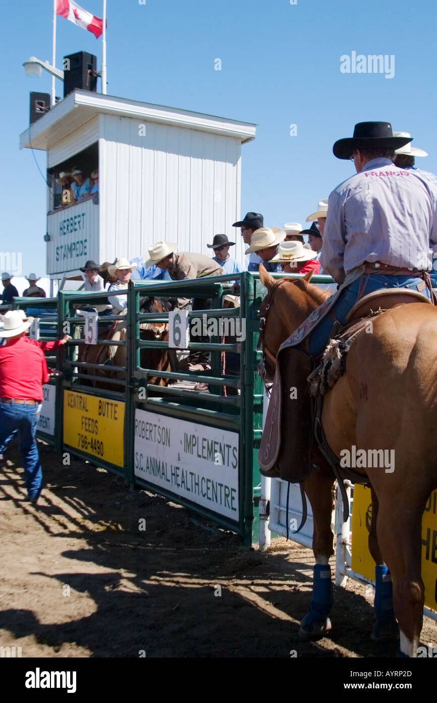 Saddle Bronc riding at the Herbert Rodeo Stock Photo - Alamy