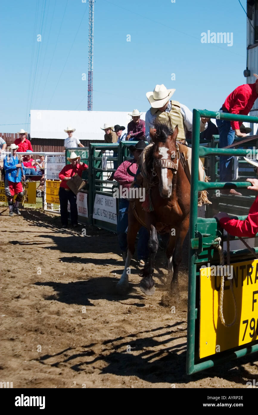 Herbert saskatchewan hi-res stock photography and images - Alamy