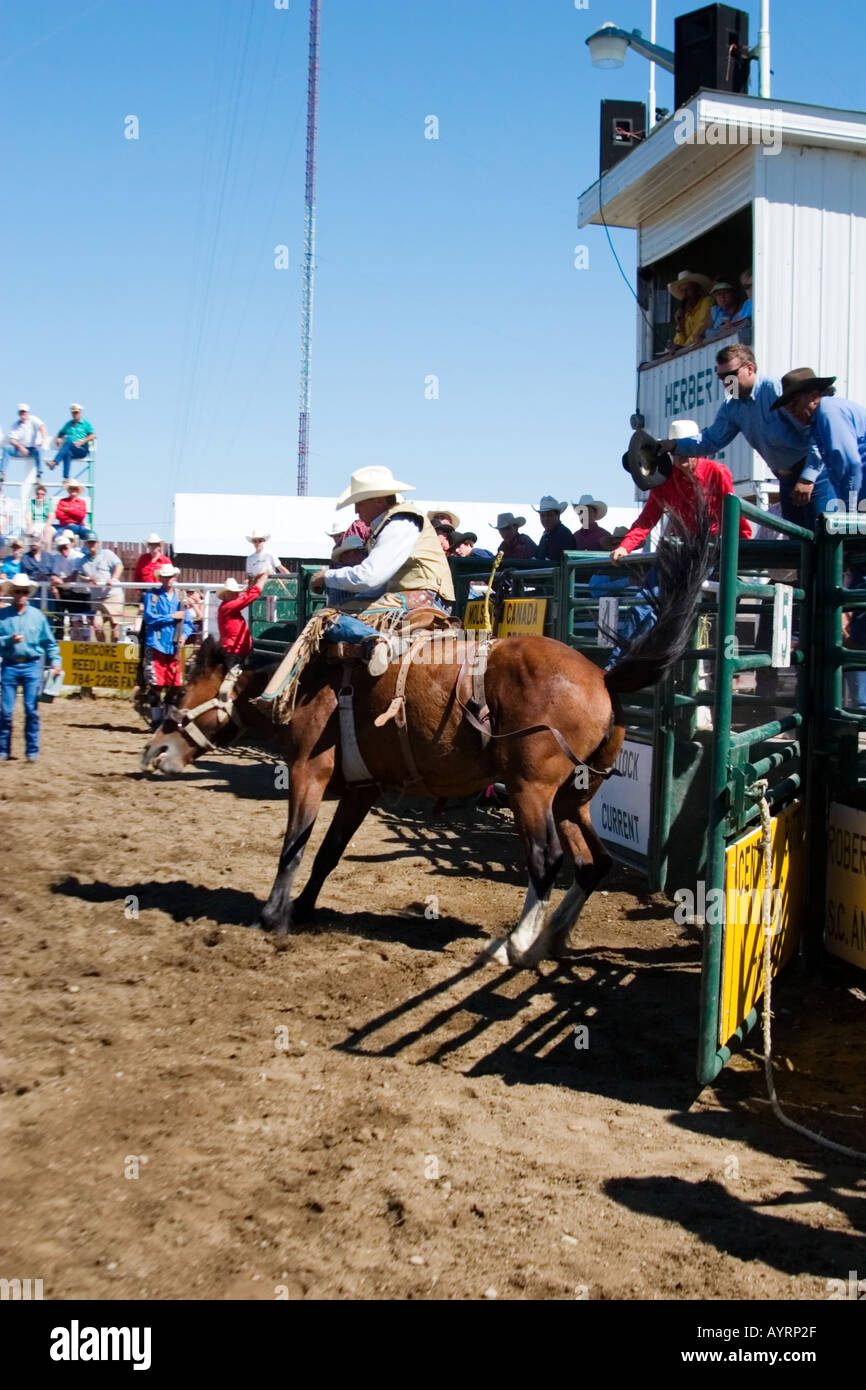 Saddle Bronc riding at the Herbert Rodeo Stock Photo - Alamy