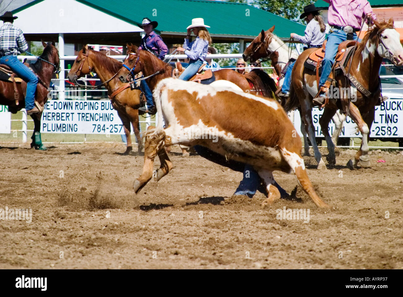 Team saskatchewan hi-res stock photography and images - Alamy