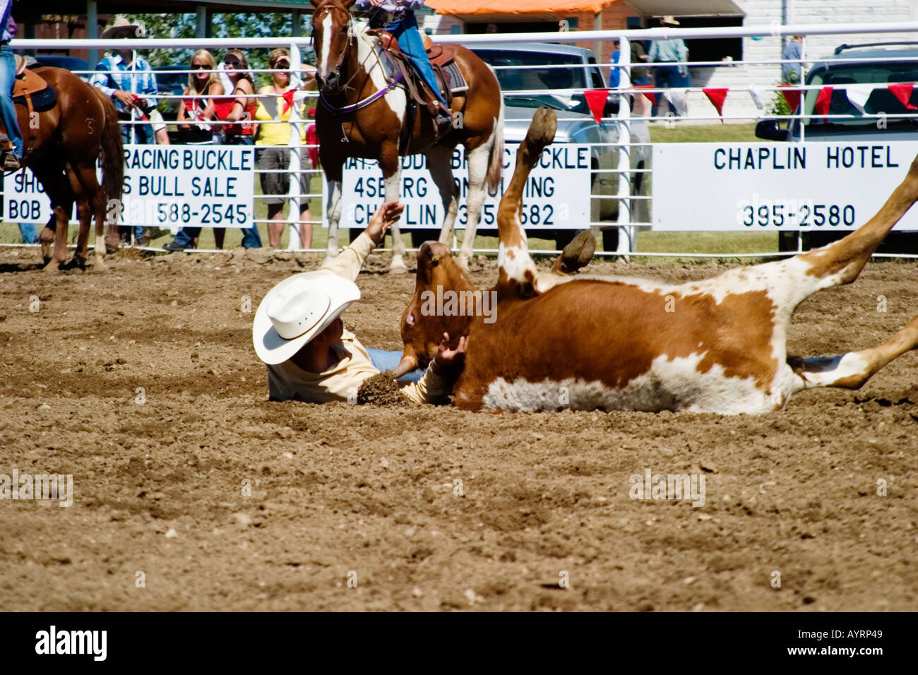 Team saskatchewan hi-res stock photography and images - Alamy