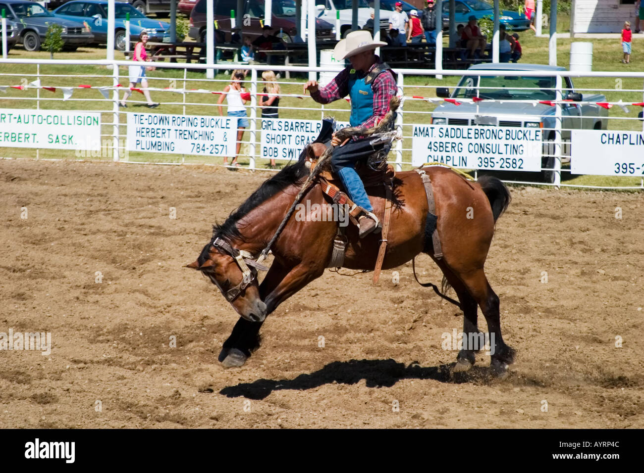Saddle Bronc riding at the Herbert rodeo Saskatchewan Canada Stock ...