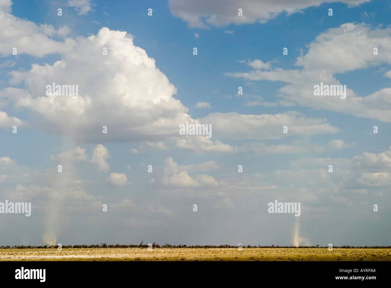 Dust devils, Etosha National Park, Namibia, Africa Stock Photo - Alamy