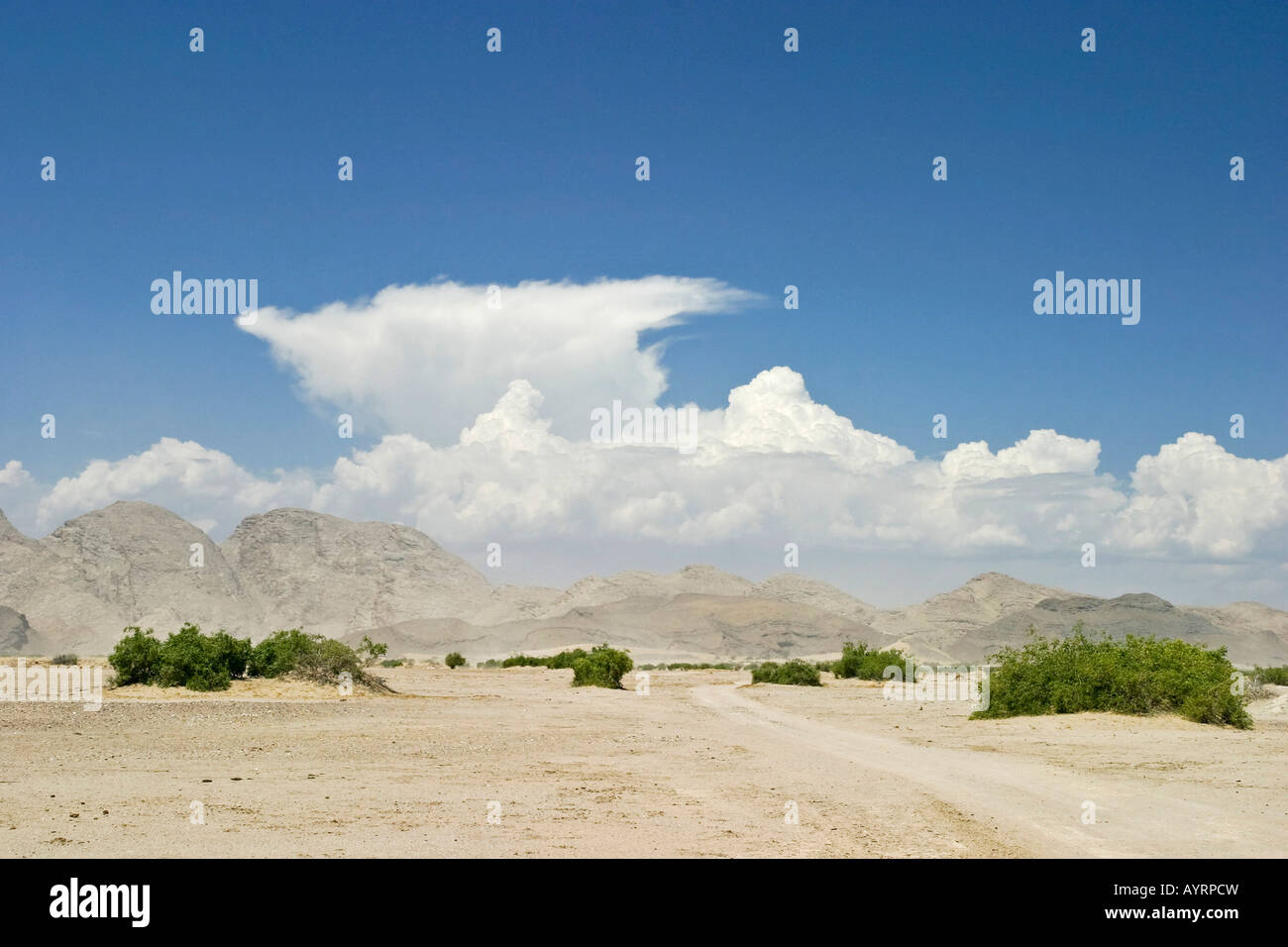 Dried rivers hi-res stock photography and images - Alamy