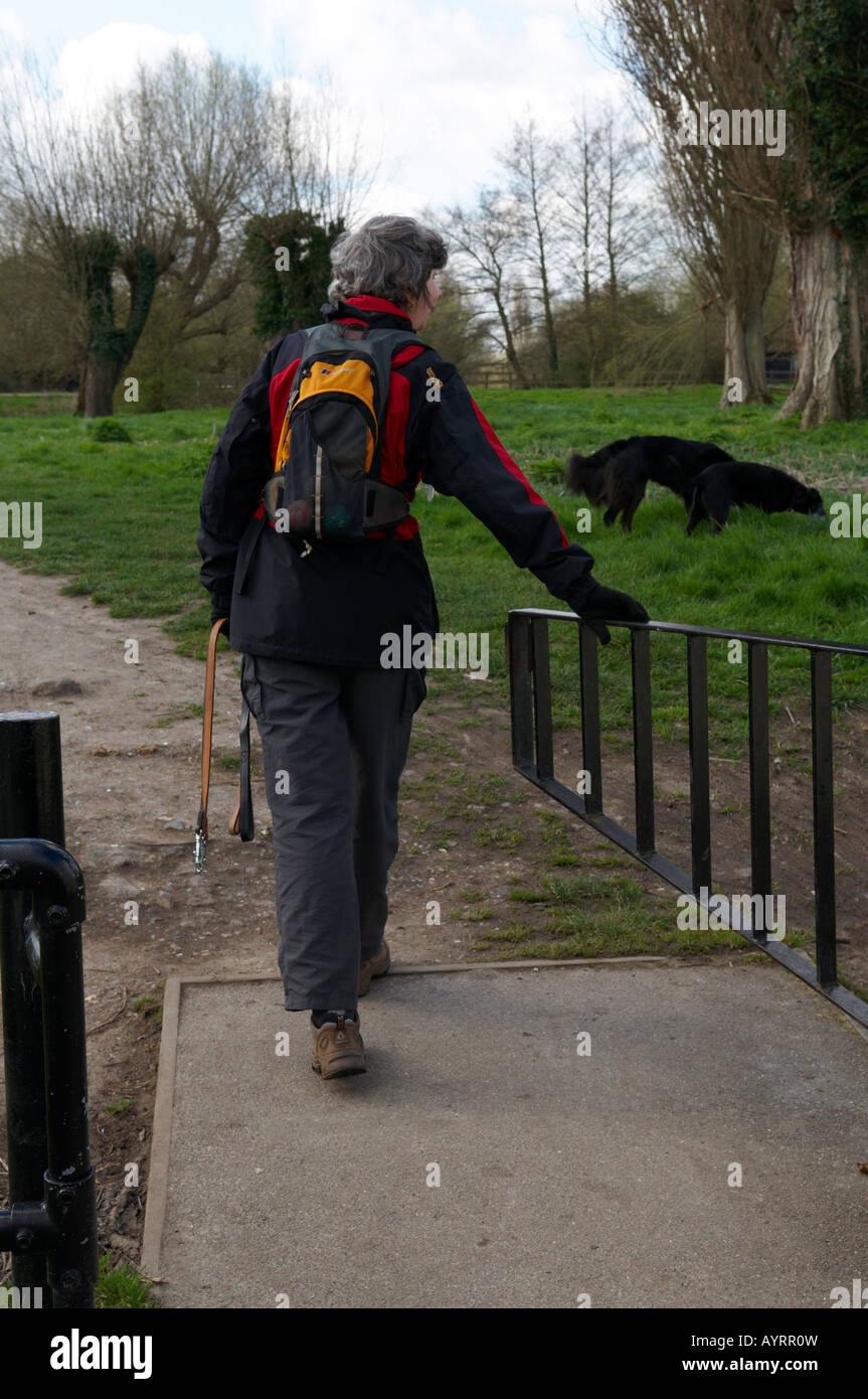 Lady dog walker opening a gate Cambridge Stock Photo - Alamy