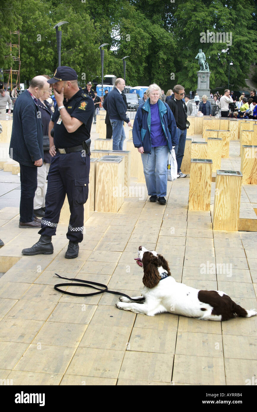 Norway police gun hi-res stock photography and images - Alamy