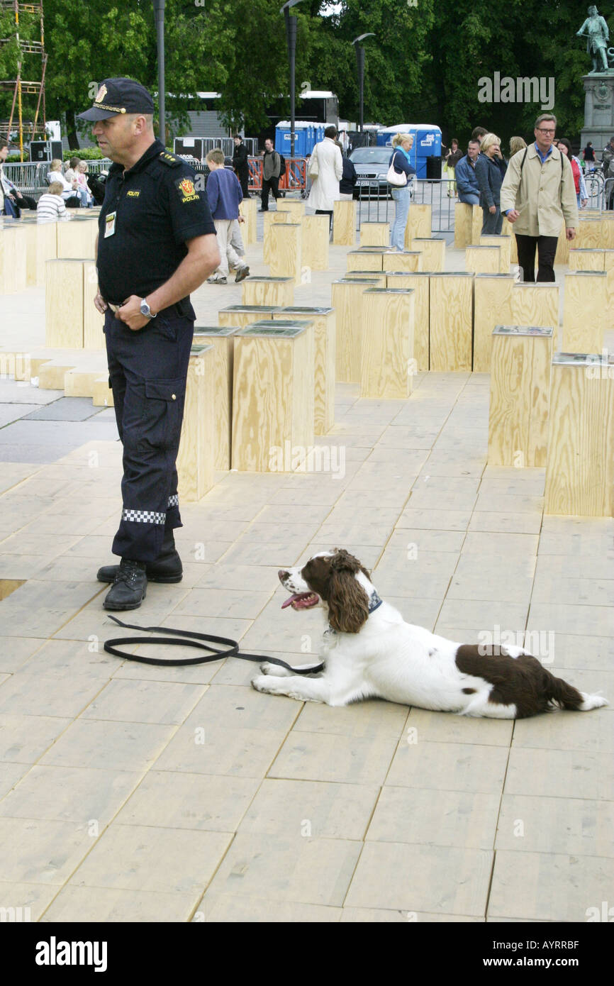 Norway police gun hi-res stock photography and images - Alamy