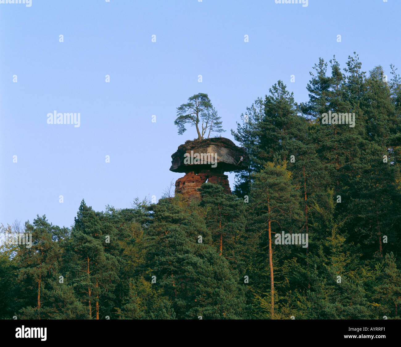 Naturpark pfaelzerwald hi-res stock photography and images - Alamy