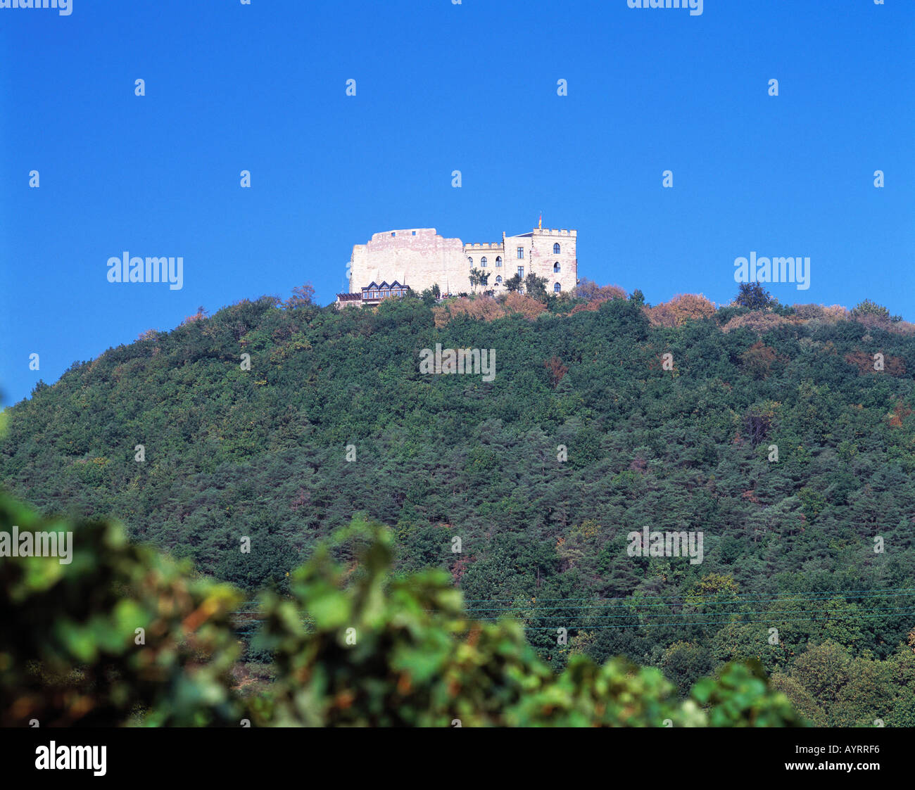 Hambacher Schloss, Neustadt an der Weinstrasse, Deutsche Weinstrasse ...