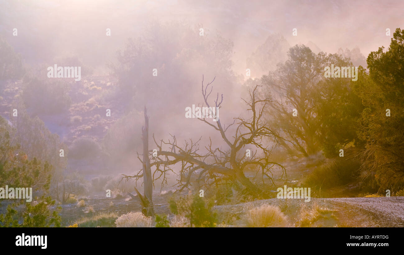 Dusty landscapes hi-res stock photography and images - Alamy
