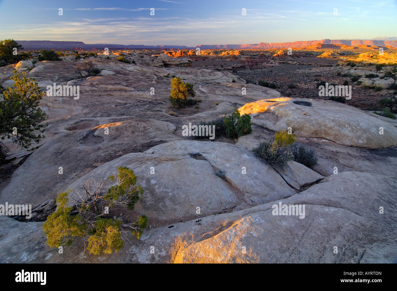 Rock plateau, Canyonlands National Park, Utah, USA Stock Photo - Alamy