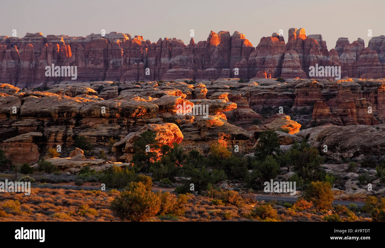 Rocky plateau, Canyonlands Needles District, Canyonlands National Park ...