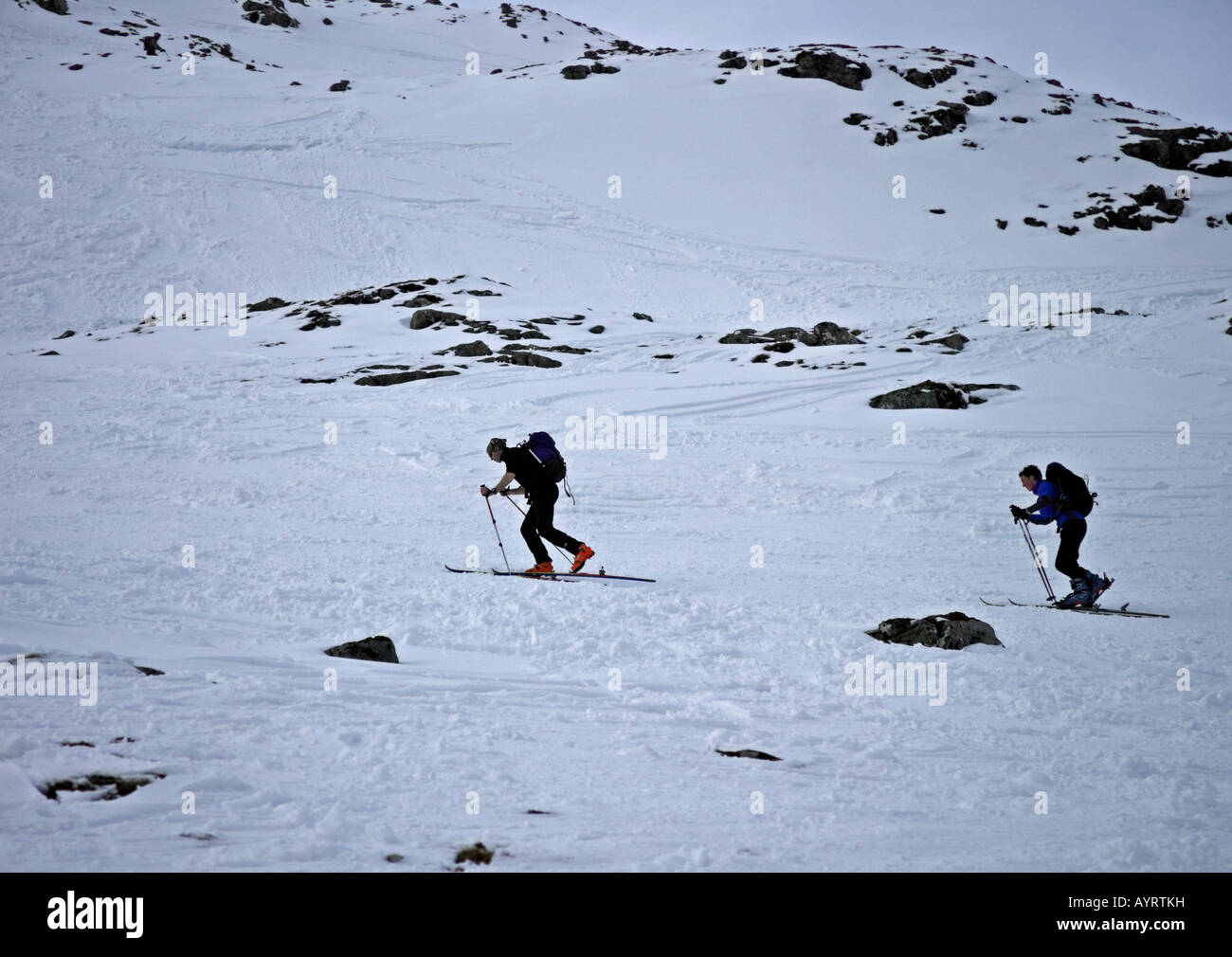 Skinning hi-res stock photography and images - Alamy