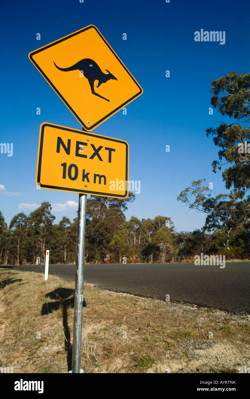 Kangaroo crossing sign, Australia Stock Photo - Alamy