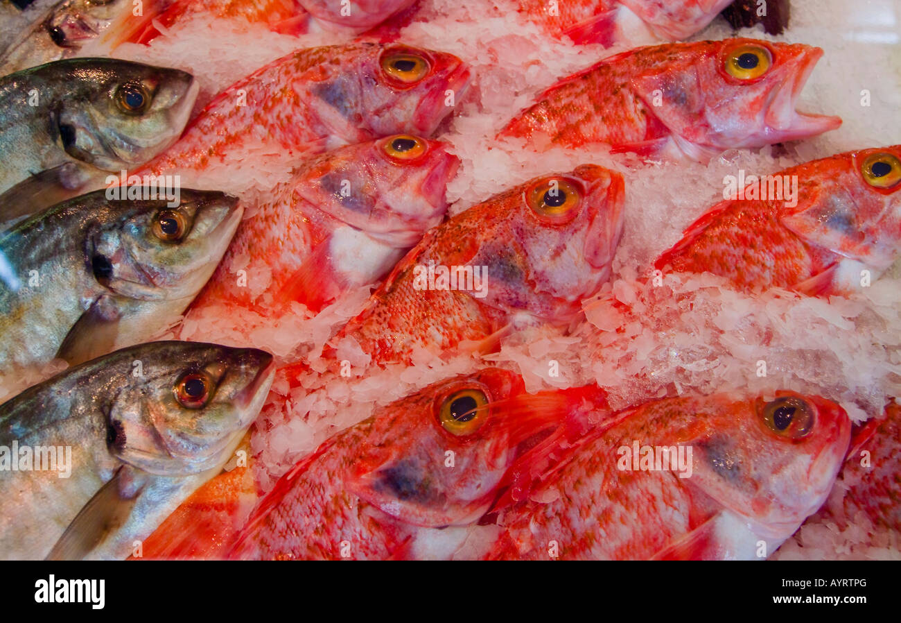 Fresh fish laid out on crushed ice Stock Photo - Alamy