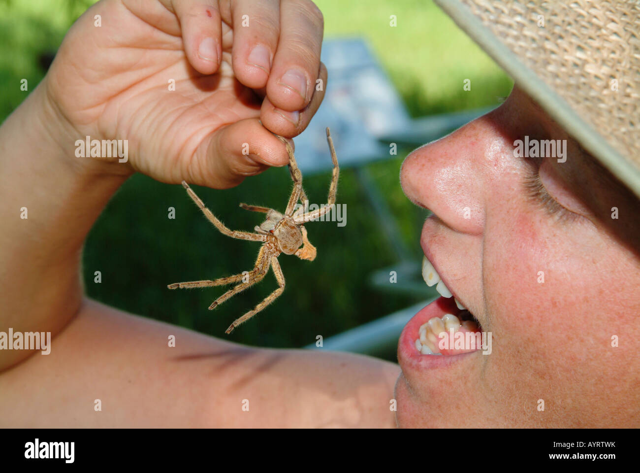 Woman eating a spider hi-res stock photography and images - Alamy