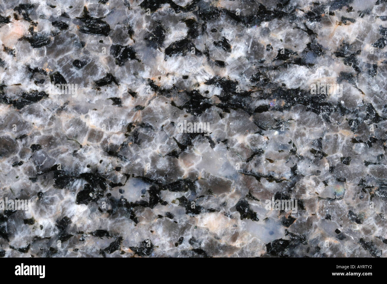 Texture in a flat rock Stock Photo - Alamy