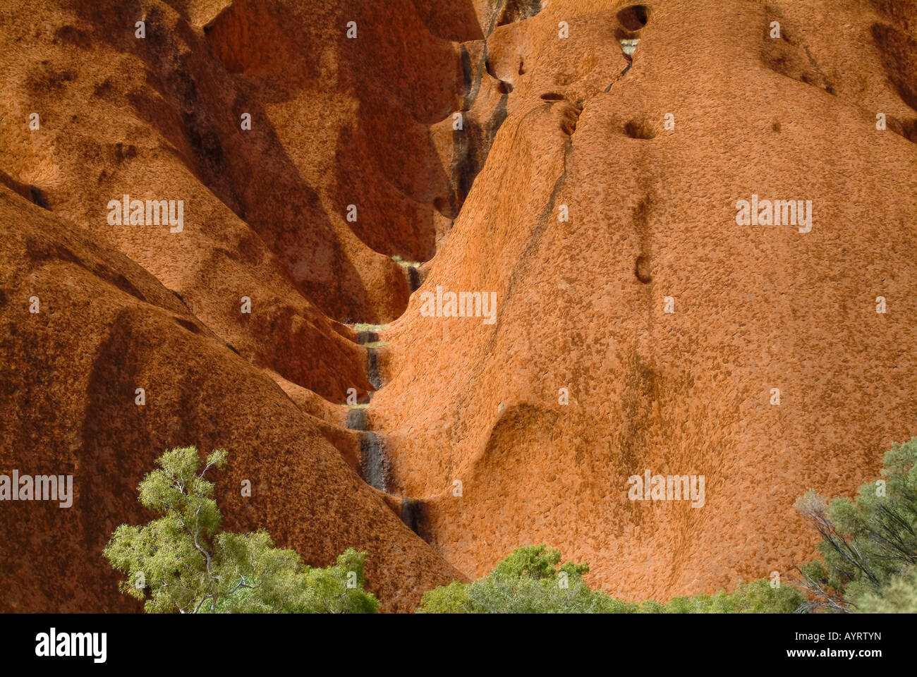 Gully, Ayers Rock or Uluru, Northern Territory, Australia Stock Photo ...