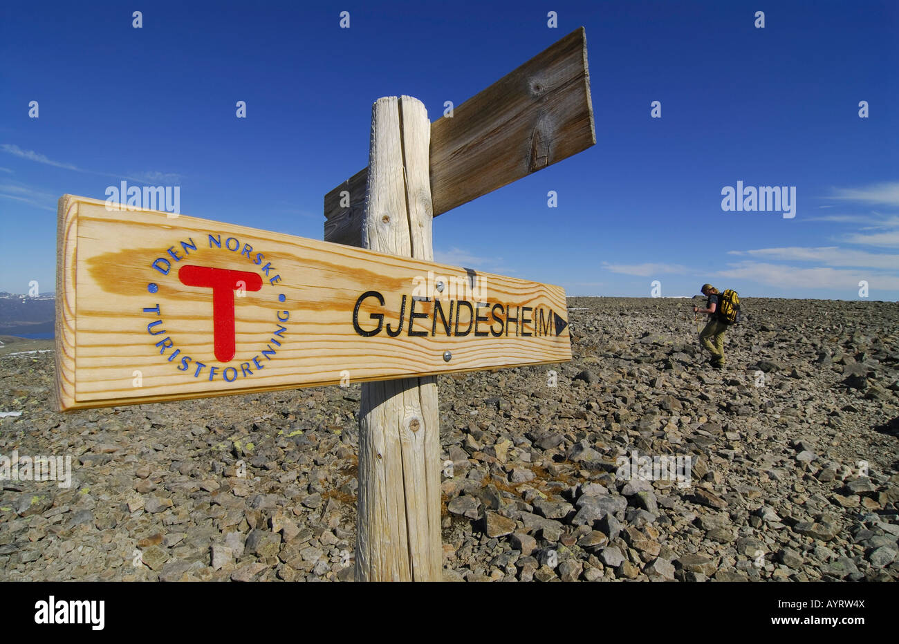 Trail markers along a hiking trail going to Gjendesheim Cabin and hiker ...
