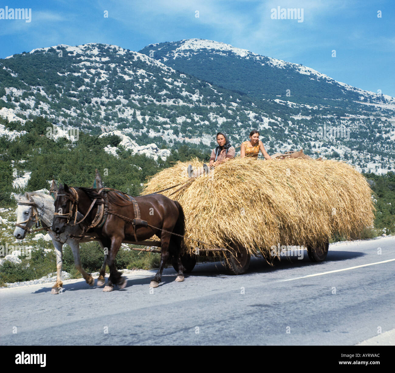 Hr beruf hi-res stock photography and images - Alamy