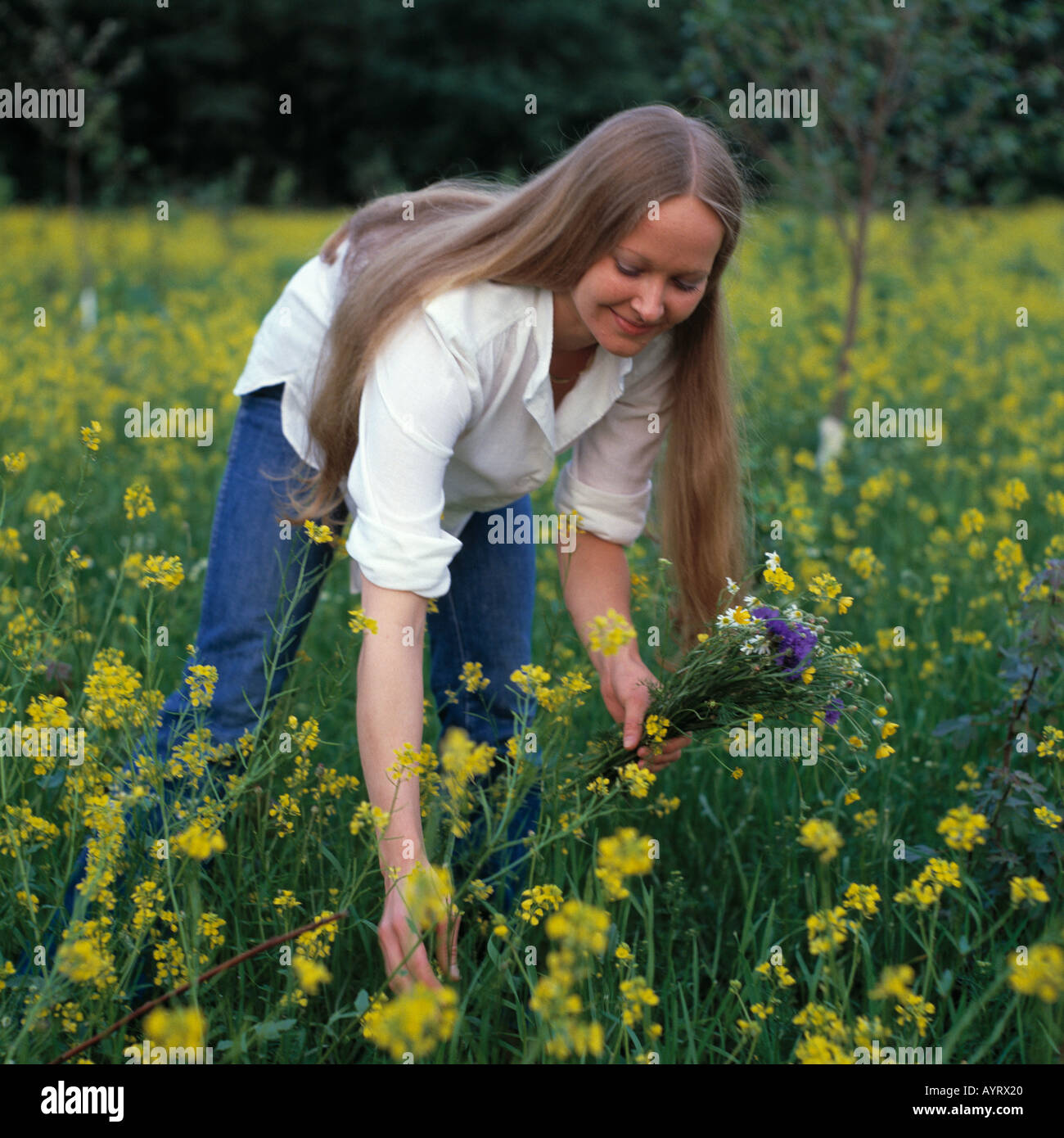 Youth picking flowers hi-res stock photography and images - Alamy