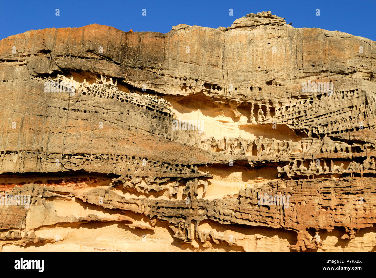 Textured sandstone, Rainbow Valley, Kalbarri Coast National Park ...