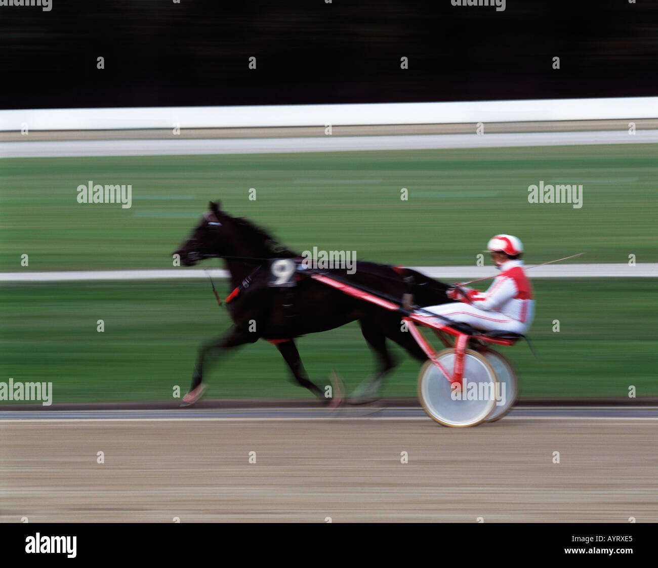 Trot race course hi-res stock photography and images - Alamy