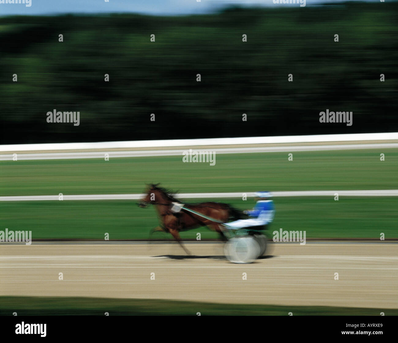 sports, equestrian sports, ride, rider, horseman, horseracing, trotting ...