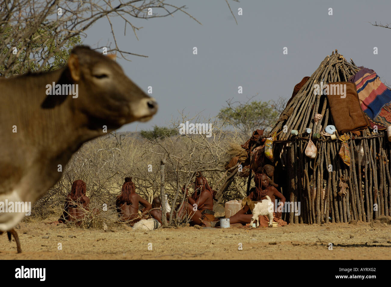Bantu Tribe Stock Photos & Bantu Tribe Stock Images - Alamy