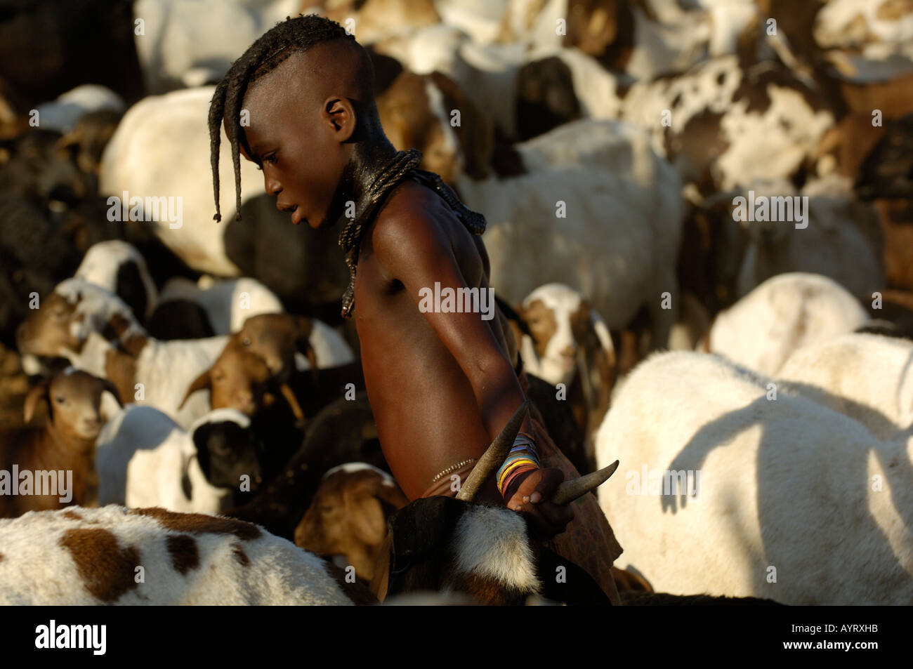 Himba People Afrika Stock Photo - Alamy