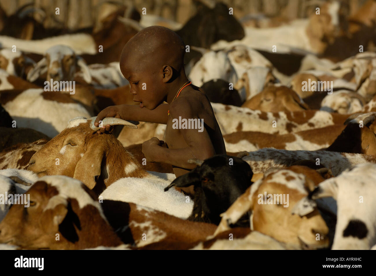 Namibian people hi-res stock photography and images - Alamy