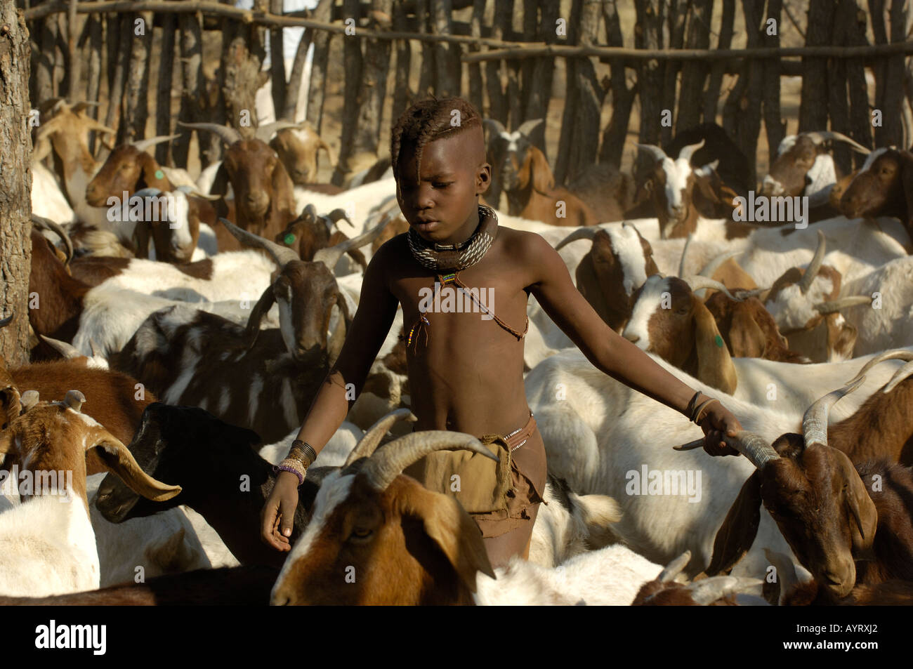 Himba People Afrika Stock Photo - Alamy