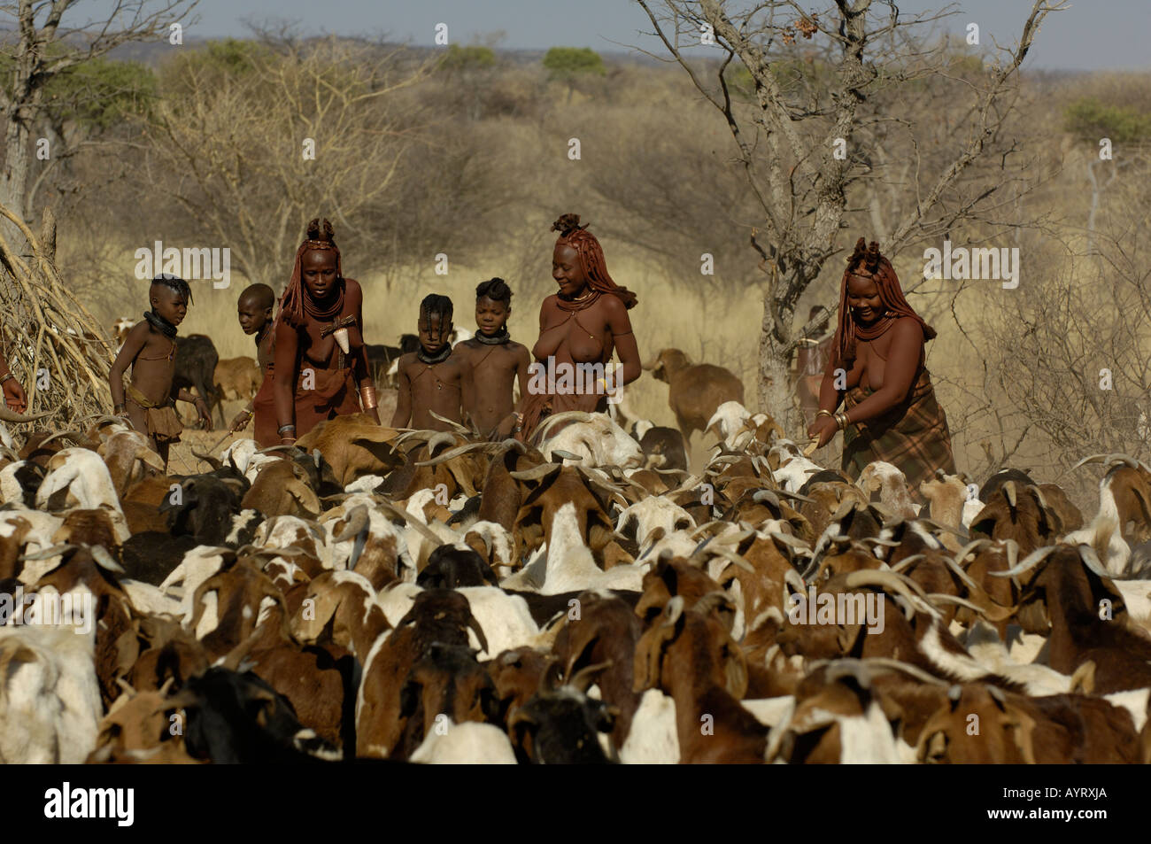 Himba People Afrika Stock Photo - Alamy