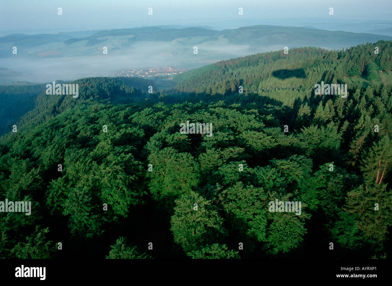 Nationalpark Kellerwald Edersee Germany Stock Photo - Alamy