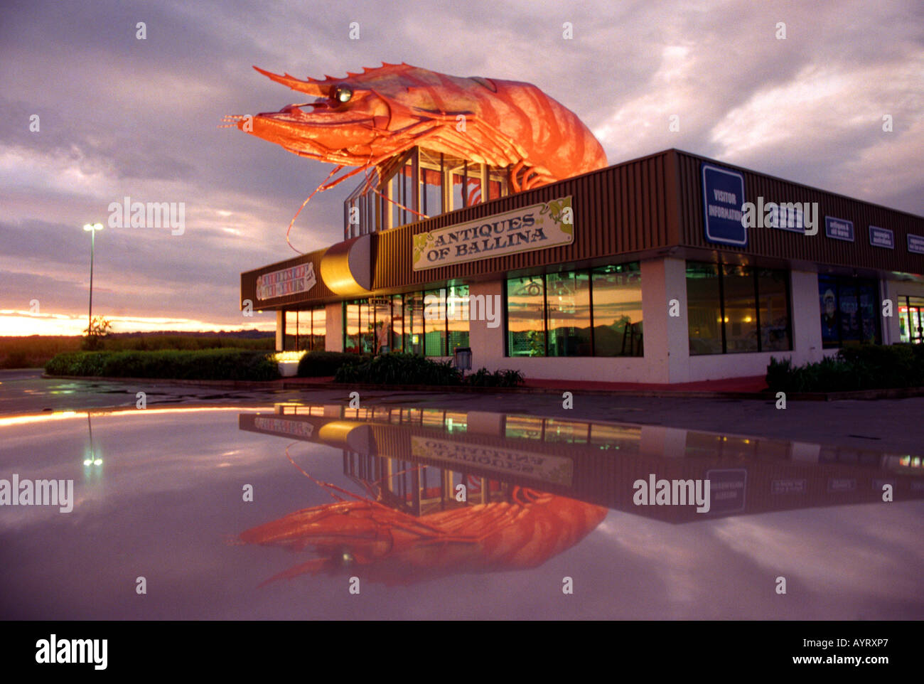 Big Prawn, The "Big Prawn" in Ballina, NSW, Australia Stock Photo - Alamy