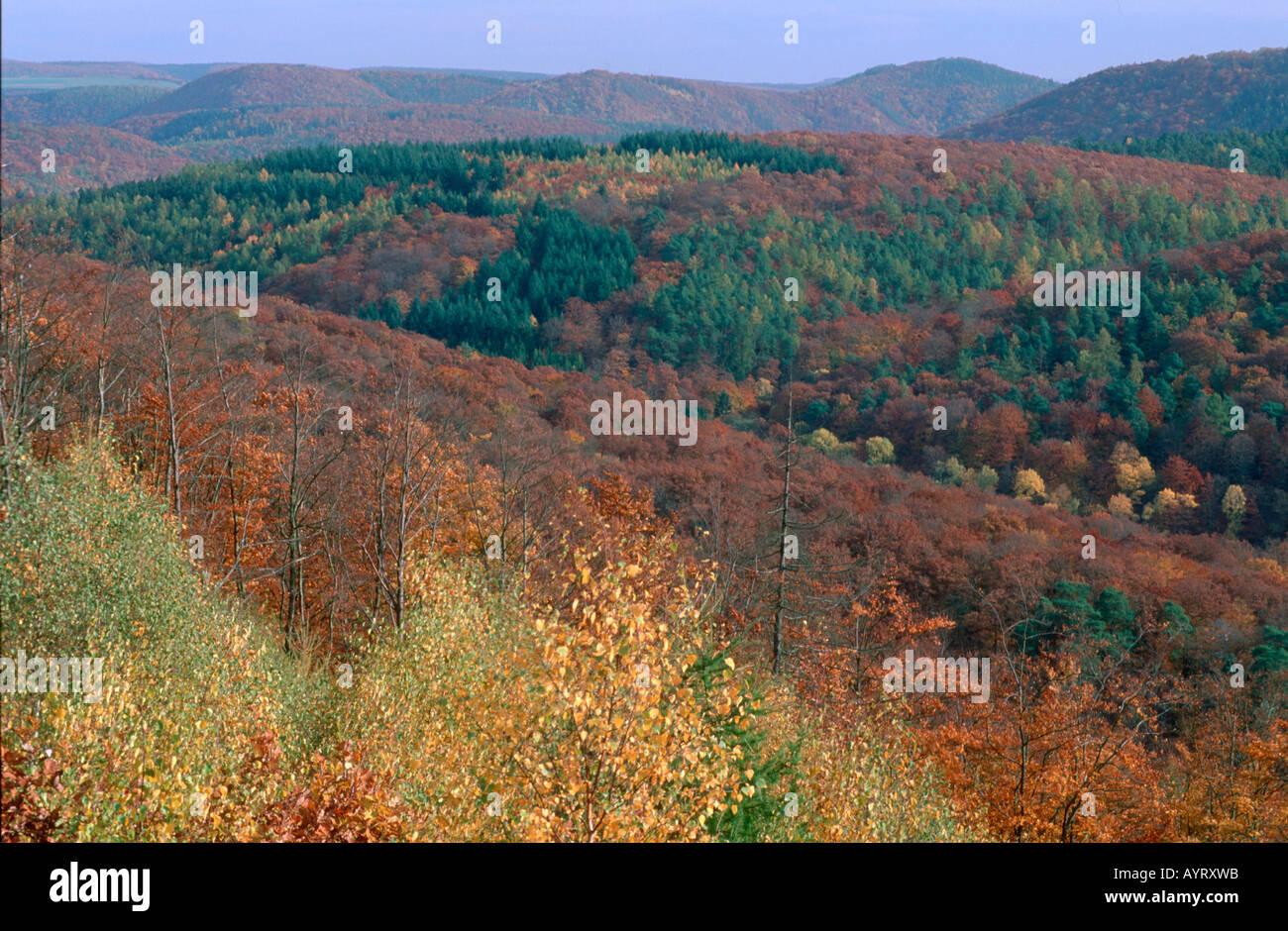 Nationalpark Kellerwald Edersee Germany Stock Photo - Alamy