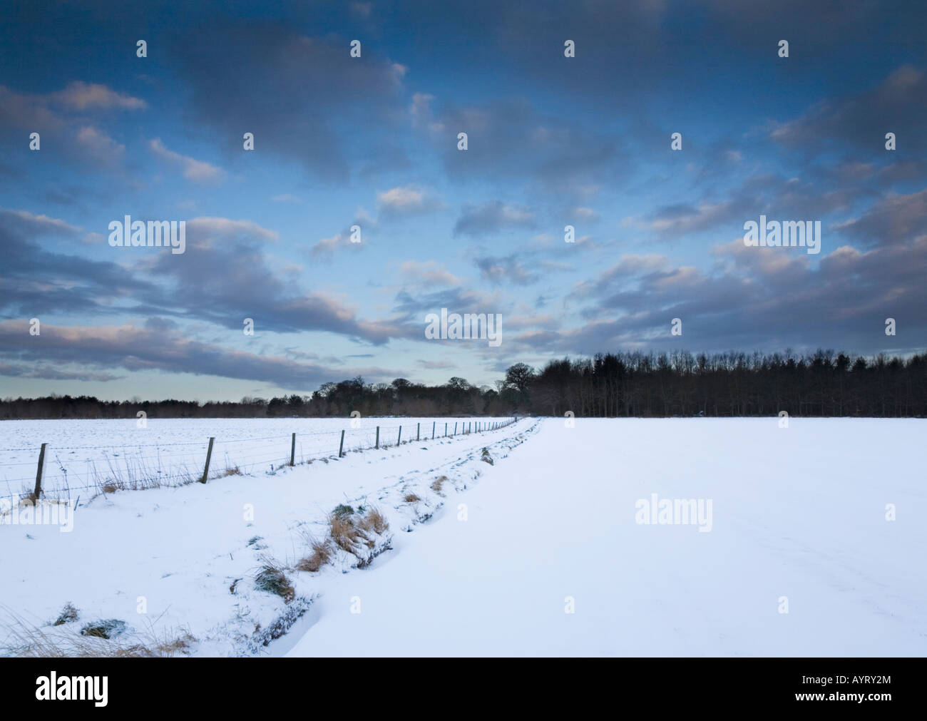Snow covered field in norfolk hi-res stock photography and images - Alamy