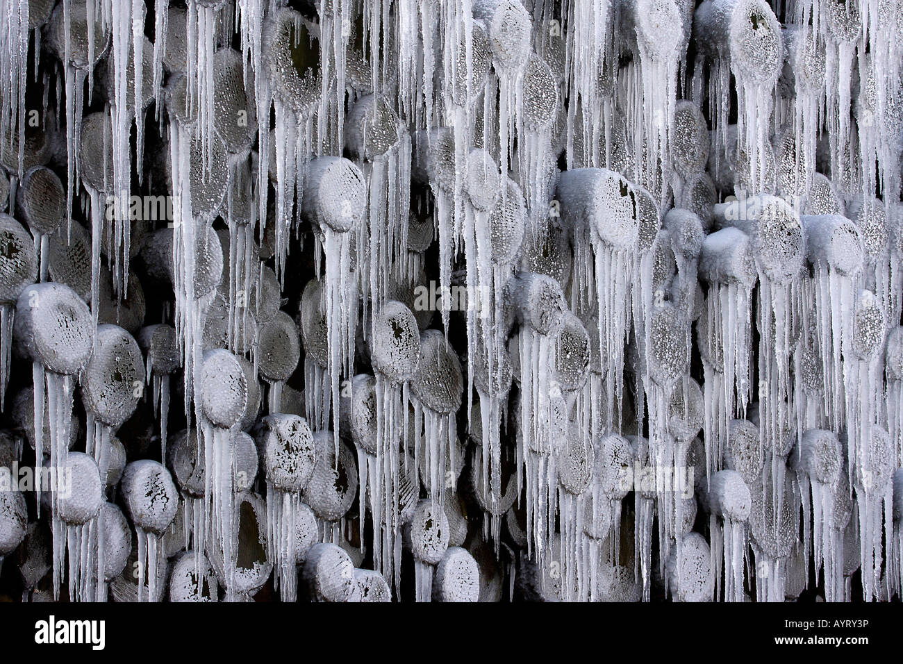 Tree logs in ice hi-res stock photography and images - Alamy