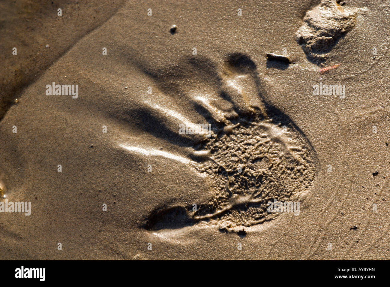 Hand imprint in sand Stock Photo - Alamy